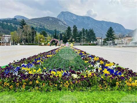 Над 3 хиляди живи цветя украсиха централния площад във Враца Утро