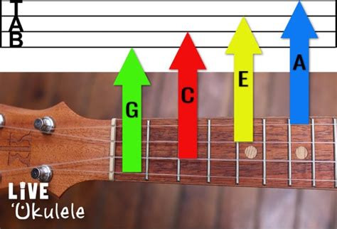 How To Read Ukulele Tabs Visual Guide
