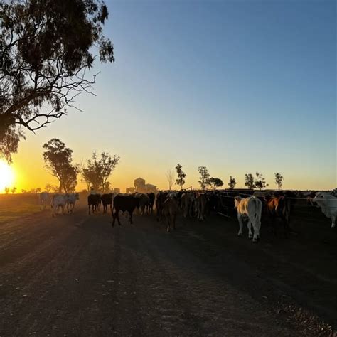 Lillymac170 • Threads Say More