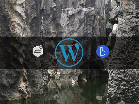 Wordpress Solve Ajax Conflicts Between Gravityform And Barbajs