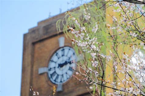 校园风景 宁波大学