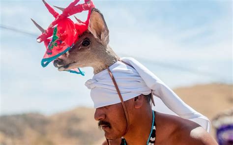 Los 8 Pueblos Yaqui Preservación Cultura Y Gobierno Del Desierto
