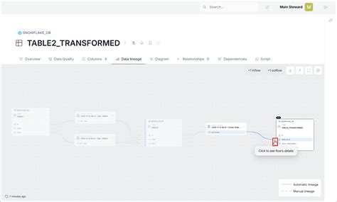 Snowflake Automatic Data Lineage Dataedo Documentation