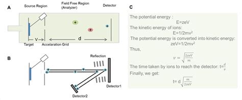 Maldi Tof Mass Spectrometry Creative Proteomics