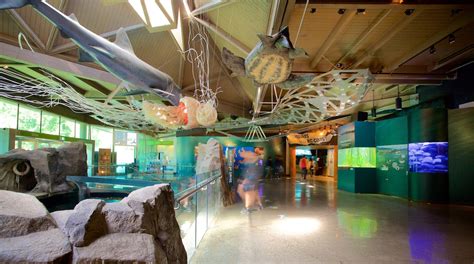 Vancouver Aquarium Vacation Rentals Can House Rentals And More Vrbo