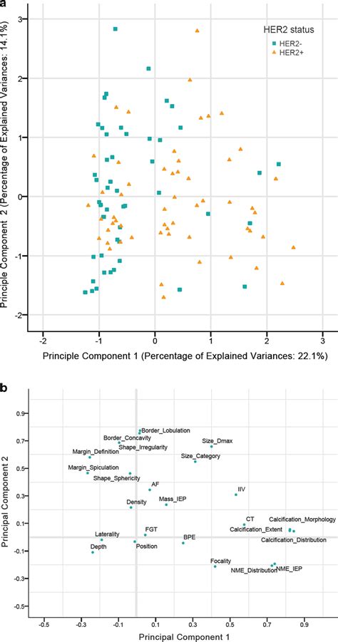 Principle Component Analysis Plot The Score Plot A Showed A Download Scientific Diagram