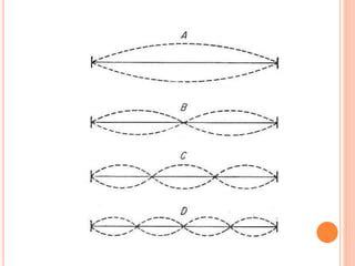 The Physics Of Music PPTX Music Entertainment