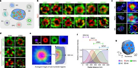 Ngs Library Prep Axis Shield Density Gradient Media