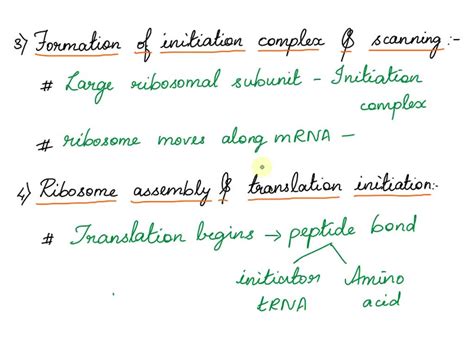 Solved Explain The Steps Of Eukaryotic Translation Initiation 1 Formation Of Preinitiation