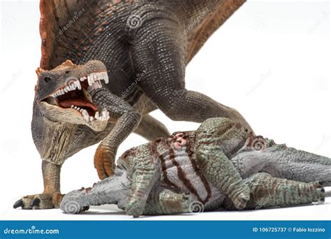 Evil Spinosaurus Has Just Killed A Stegosaurus On White Background