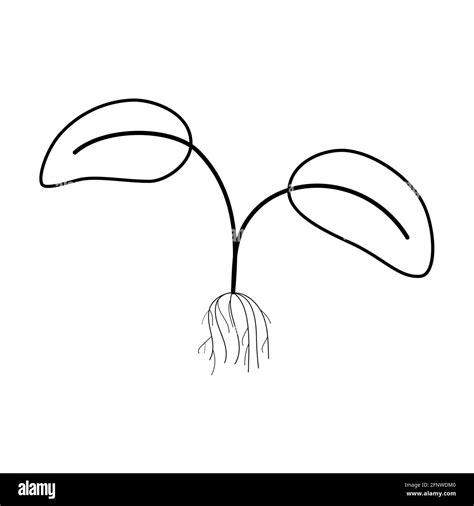 Seedling Plant With Roots Outline Simple Minimalistic Flat Design Vector Illustration Isolated