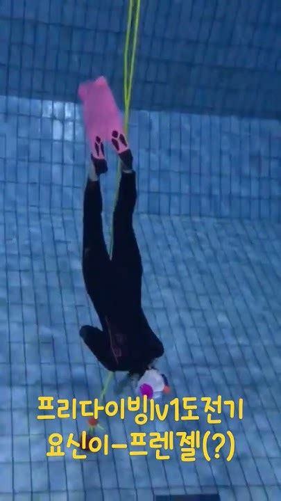 프리다이빙도전기 프렌젤 Youtube