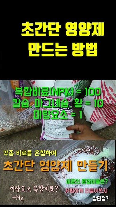 초간단 저렴한 채소과일 영양제 만들기 Shorts 영양제만드는법 Youtube