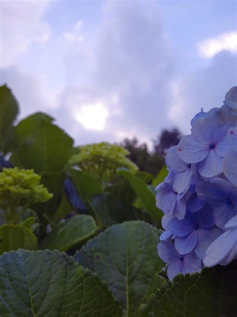 Indonesia Pico Sol Foto Gratis En Pixabay Pixabay