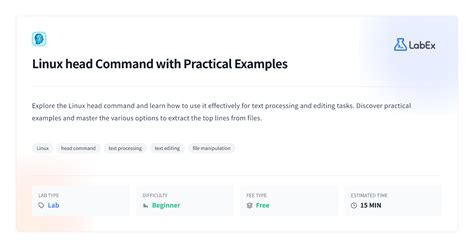 Linux Head Command With Practical Examples Labex