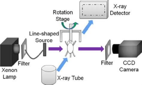 Schematic Diagram Of The Hybrid Fmtxct Imaging System The Fmt System