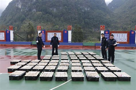 广西百色边境管理支队打掉6个边境走私团伙四川在线