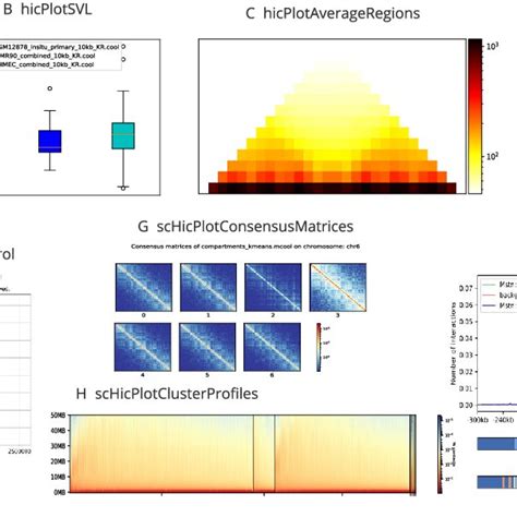 analysis workflow for hi c a chi c b and schi c c all the