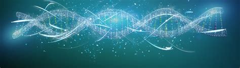 How Automation Improves Ngs Library Preparations