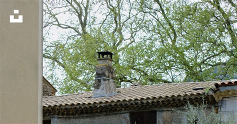 오래된 건물은 나무와 다른 구조로 둘러싸여 있습니다 사진 Unsplash의 무료 이미지