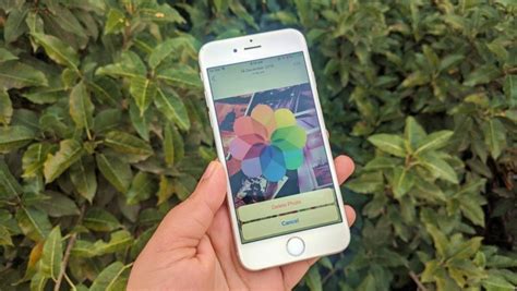 What Happens When You Delete A File From Google Drive Guiding Tech