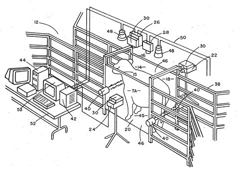 Carcasses Classification Grading Patented Technology Retrieval Search Results Eureka Patsnap