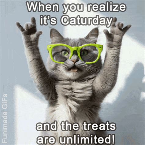 Funny Caturday  With Excited Cat And Treats Funimada