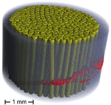 3d Reconstruction Of Synchrotron Refraction Computed Tomography Srct Download Scientific