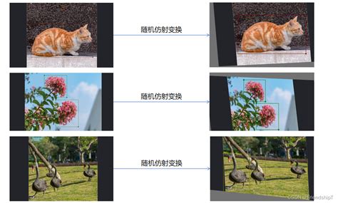 Python将原始数据集和标注文件进行数据增强（随机仿射变换），并生成随机仿射变换的数据集和标注文件python 仿射变换 Csdn博客
