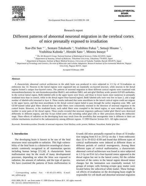 Pdf Different Patterns Of Abnormal Neuronal Migration In The Cerebral Cortex Of Mice