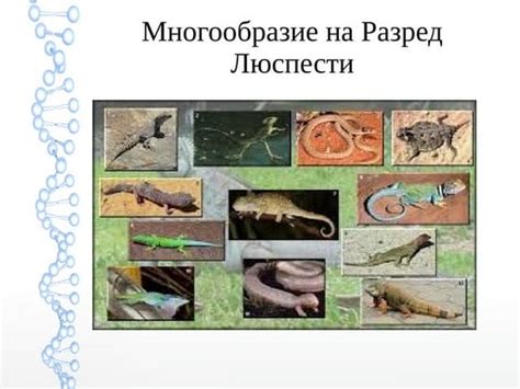 Защитени видове животни и растения Pptx