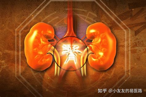 中医 ：牙周炎引发根源是肾气不足，日常这个方法常做，或远离拔牙风险！ 知乎