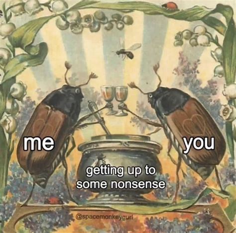 25 Bug Memes Ideas In 2025 Cool Bugs Memes Bugs And Insects