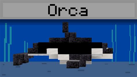Minecraft Killer Whale Fapdos On X Sea Bunny Orca Killer Whale