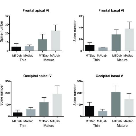 The Total Number Of Spines In Basal Dendrites Of Layer V Pyramidal Download Scientific Diagram