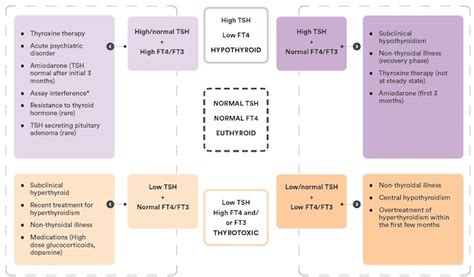 What Do High And Low Tsh Levels Mean Thyroid Levels Thyroid Disorders
