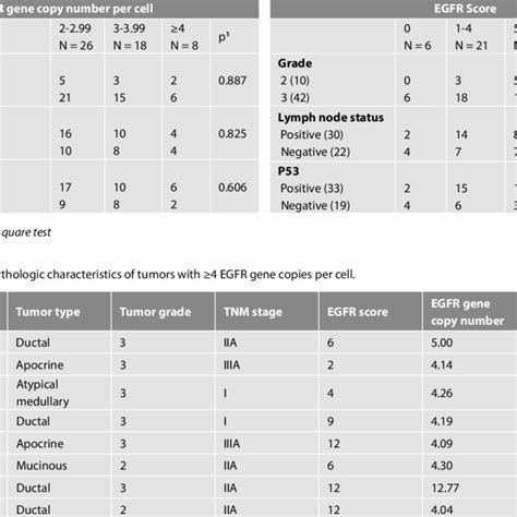 Strong Diffuse Ihc Egfr Staining Egfr Score 12 200x Download Scientific Diagram