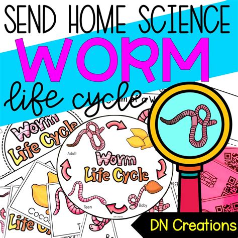 Worm Life Cycle L Earthworm Science Activities L Worm Posters L Garden Science Unit For