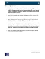 Exploring Cell Structure Function Size Key Concepts Course Hero