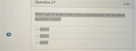 Solved Question 272 ﻿ptswhich Layer Of Striate Cortex