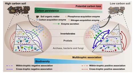 派森诺项目文章 If 11 6！微生物多样性测序多角度揭示土壤有机碳代谢的奥秘 知乎
