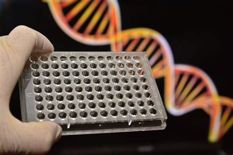 Advance In Genetic Testing Delivers Accurate Prediction Of Disease