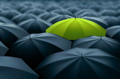 How To Use Contrast To Improve Your Graphic Designs