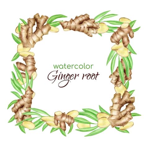 Ginger Watercolor Images Free Download On Freepik