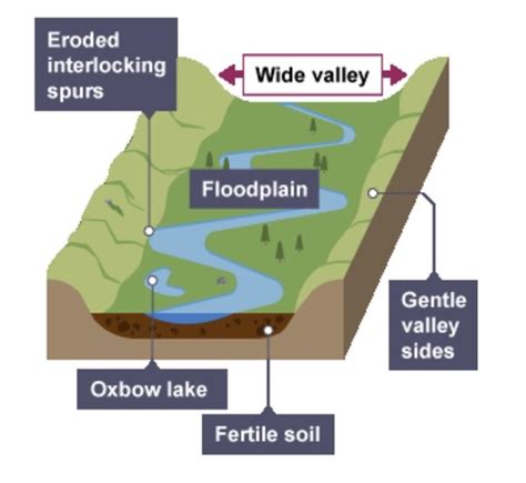 Depositional River Landforms Flashcards Quizlet