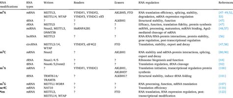 Epitranscriptomic Modifications And Regulatory Function Of Different