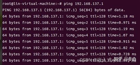 Linux操作系统网络配置详解从原理到实践详细通俗讲明DNS 知乎