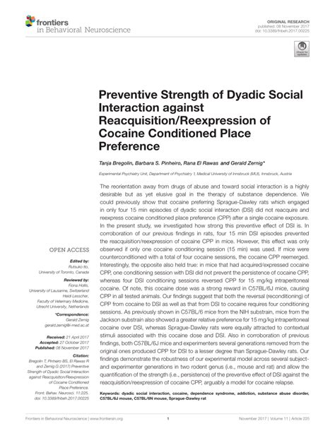 Pdf Preventive Strength Of Dyadic Social Interaction Against
