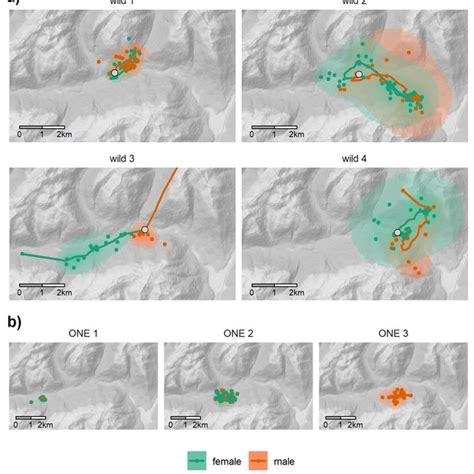 Comparison Of 100 Minimum Convex Polygon Sizes Representing Home