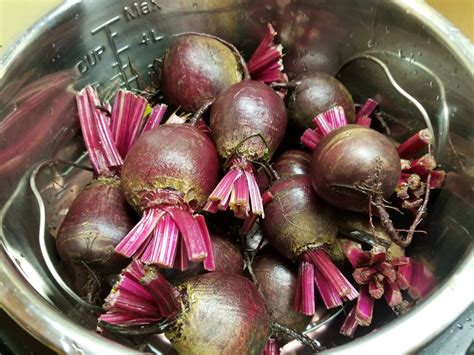 Instant Pot Canned Beets Timeless Treasure Trove